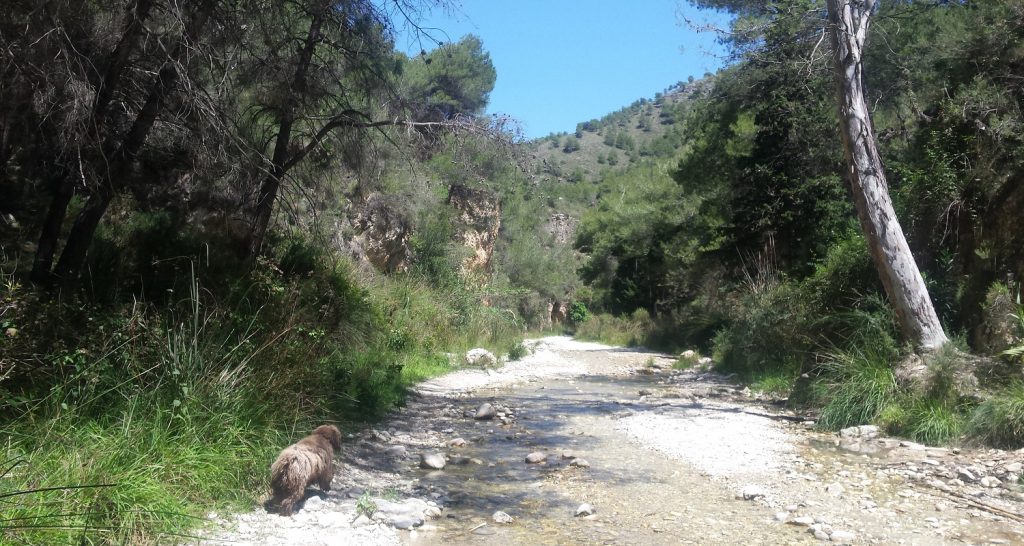 Instructions on How to Get to the Rio Chillar in Nerja - Mi Velez-Malaga